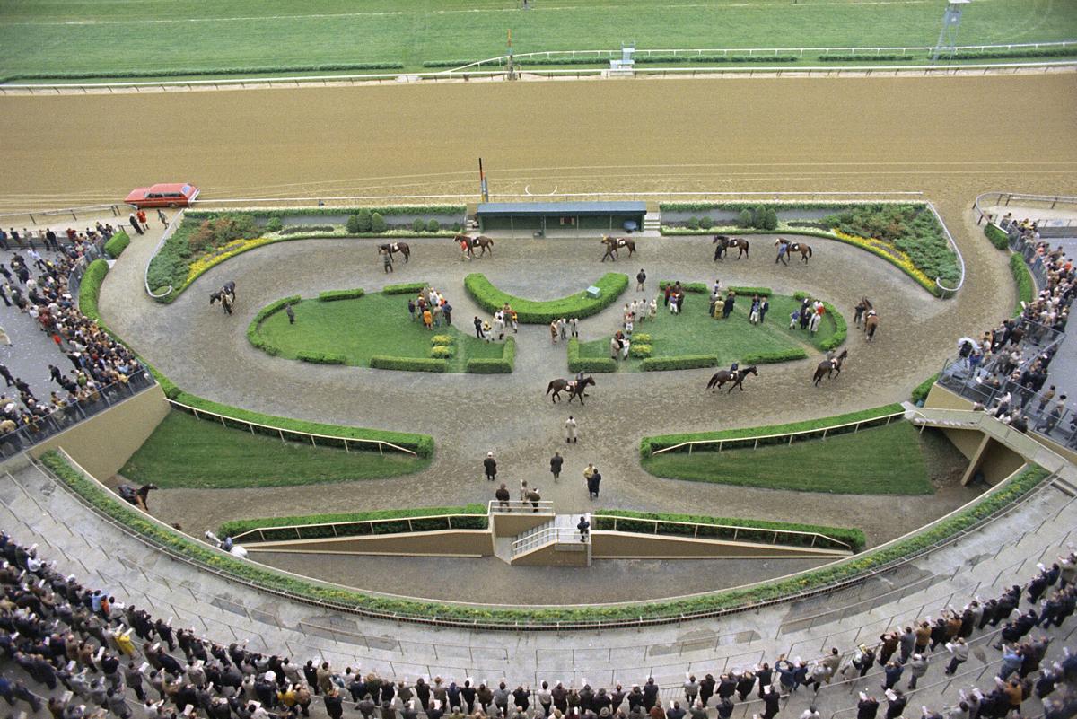 THE EIGHTH POLE: The origins of a humble horseplayer