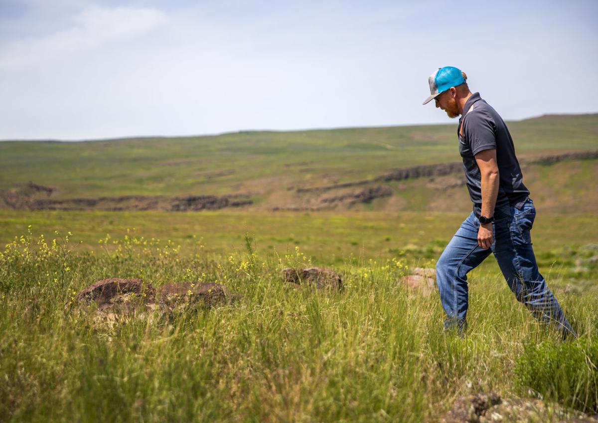 6 years later: Life returns to BLM ground burned by 2012 Cave Canyon Fire