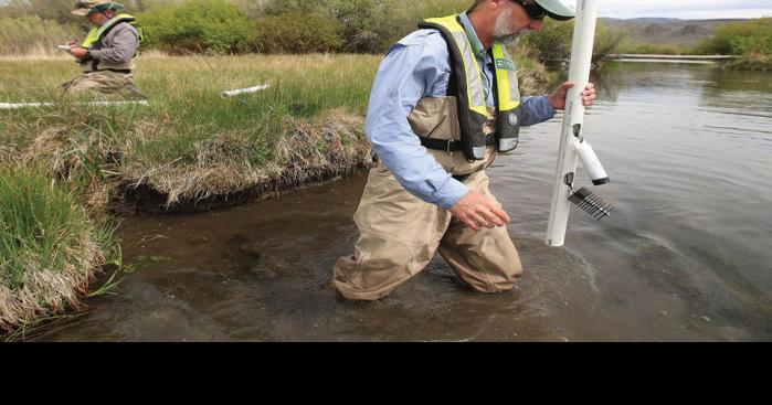 Scientists monitor Silver Creek’s aquatic insect populations