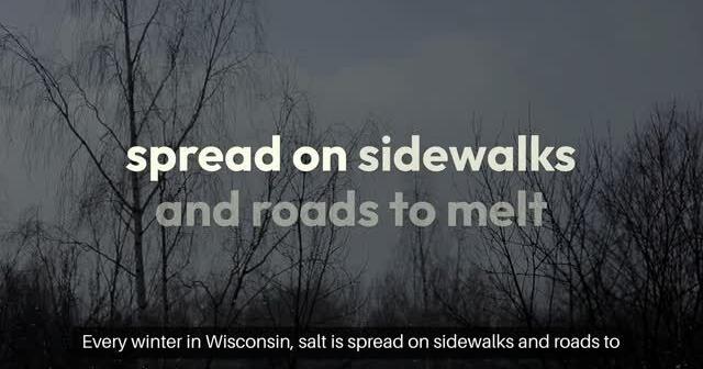 How to Use Less Salt This Winter in Wisconsin