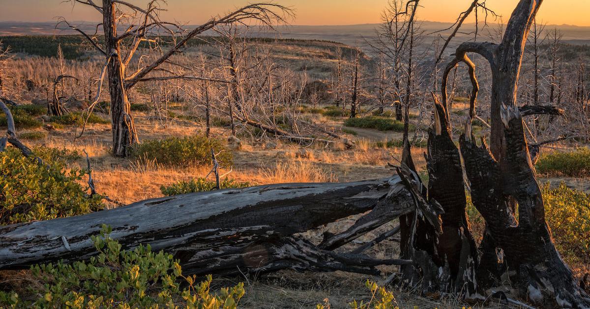 Shari Hart: The newly professional photographer