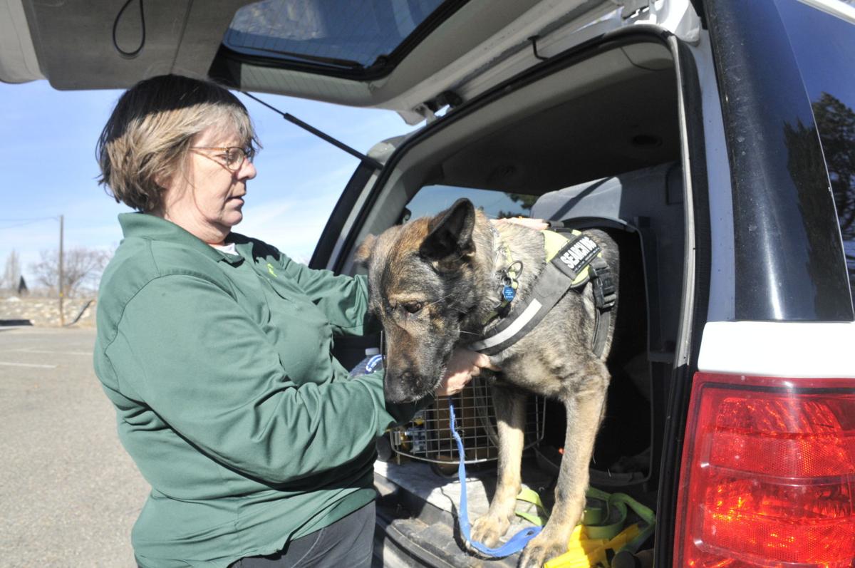 Search continues for missing Gooding man