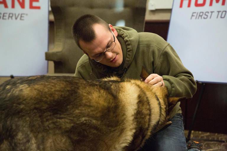 Watch this military dog reunite with his handler in Boise
