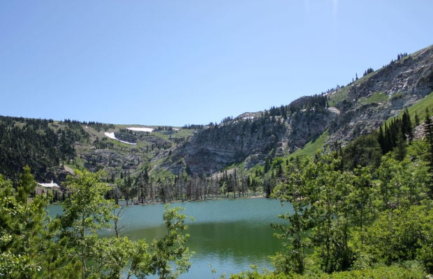 Mount Harrison Lookout will be Open to Visitors