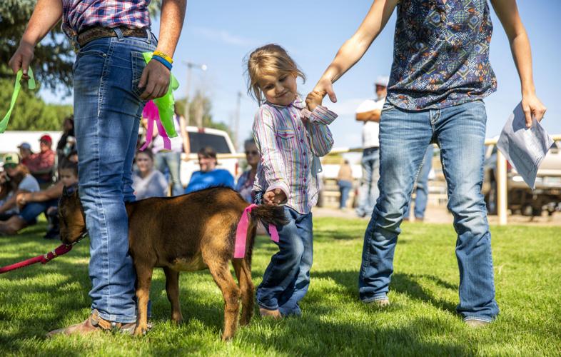 Gooding County Fair and Rodeo fun begins Wednesday