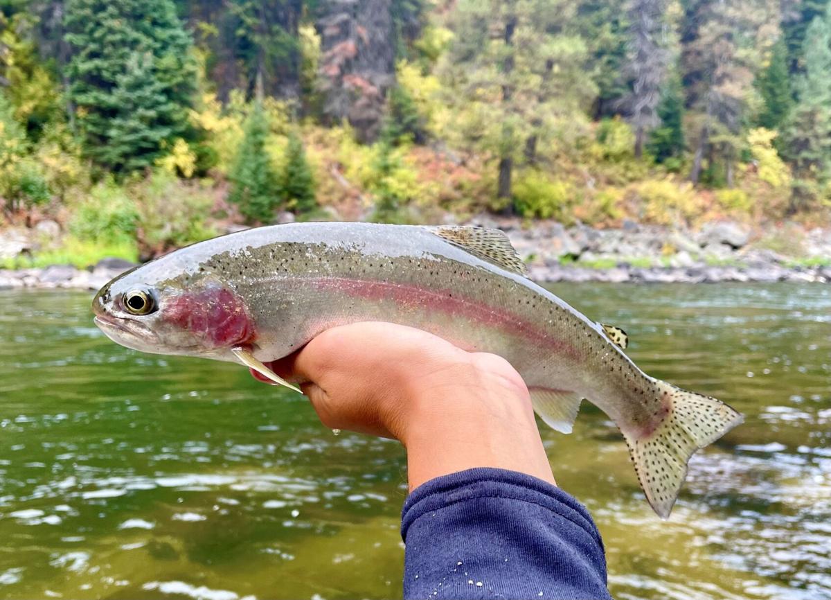 Fishing Column: A trout stream runs through it