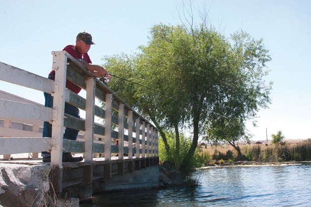 Blog: Dust Off Your Tackle Box, Head to These Ponds