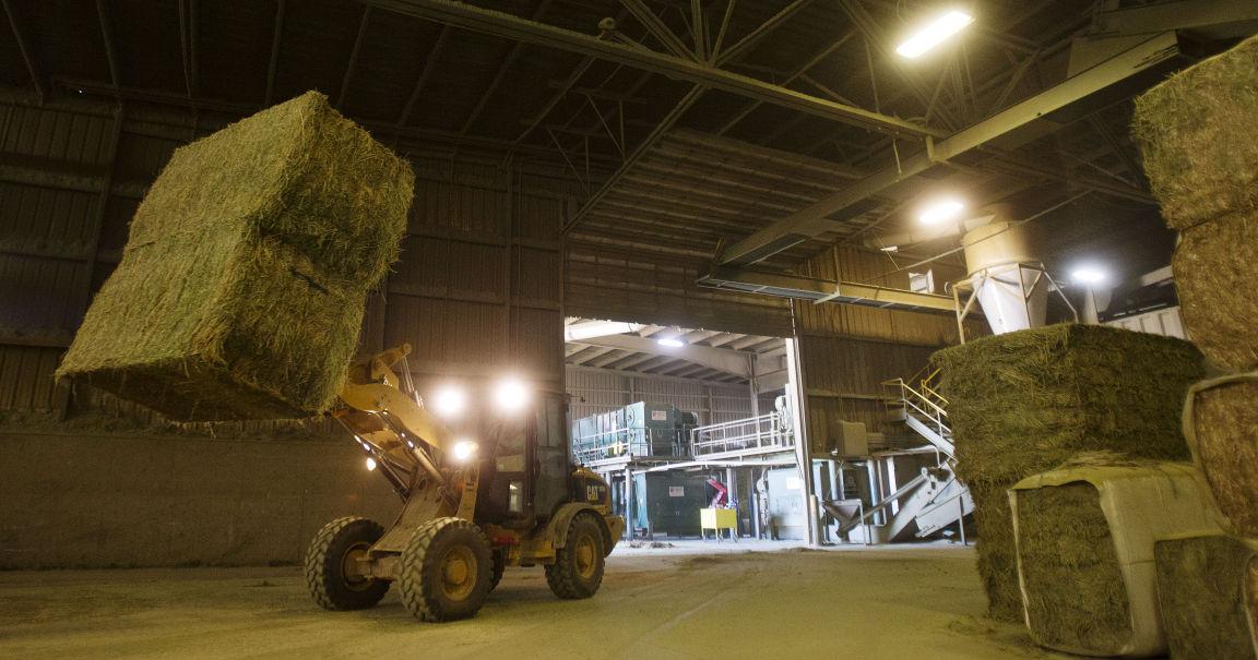 Standlee Hay Co. ranks highest newcomer to Top 100 list