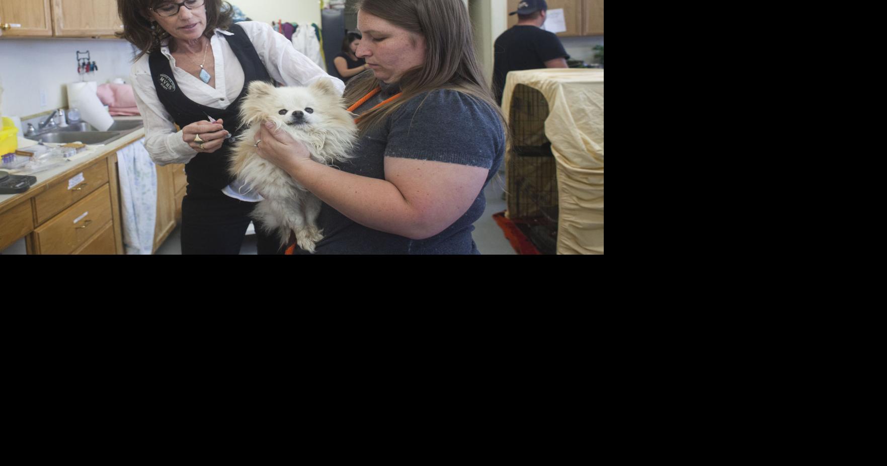 CSI shoe drive to benefit animal shelter