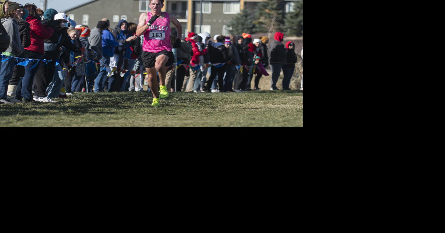 Twin Falls girls, Burley boys finish second; state cross country roundup