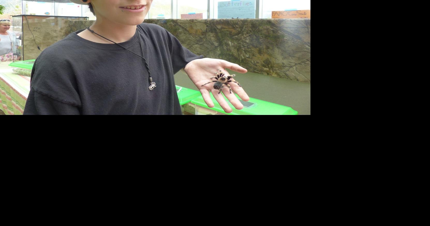 The 14th annual Bug Zoo is here. This year's theme: 'web of life.'