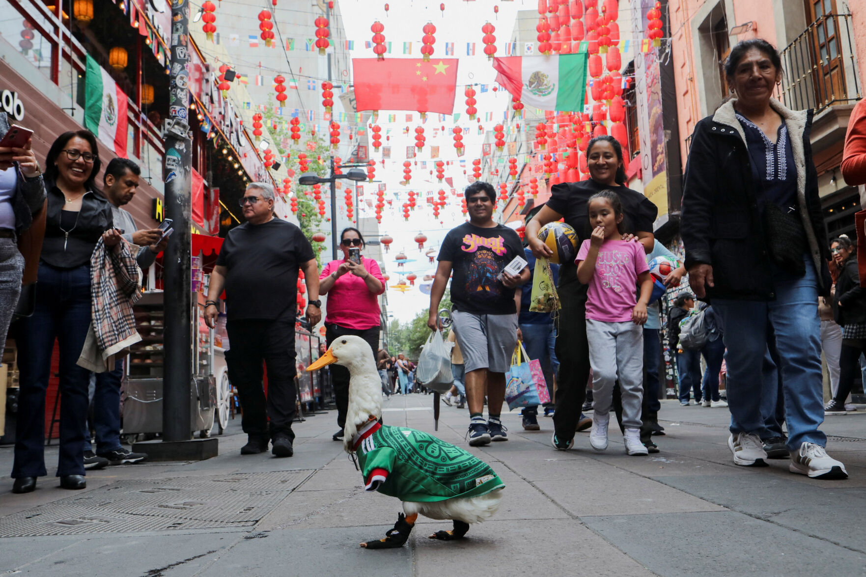 Merlin the duck: From Mexico City streets to World Cup stardom