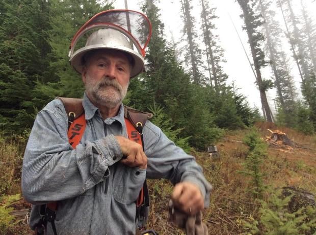 Idaho Logging, Wood Product and Paper Industries Hang Steady