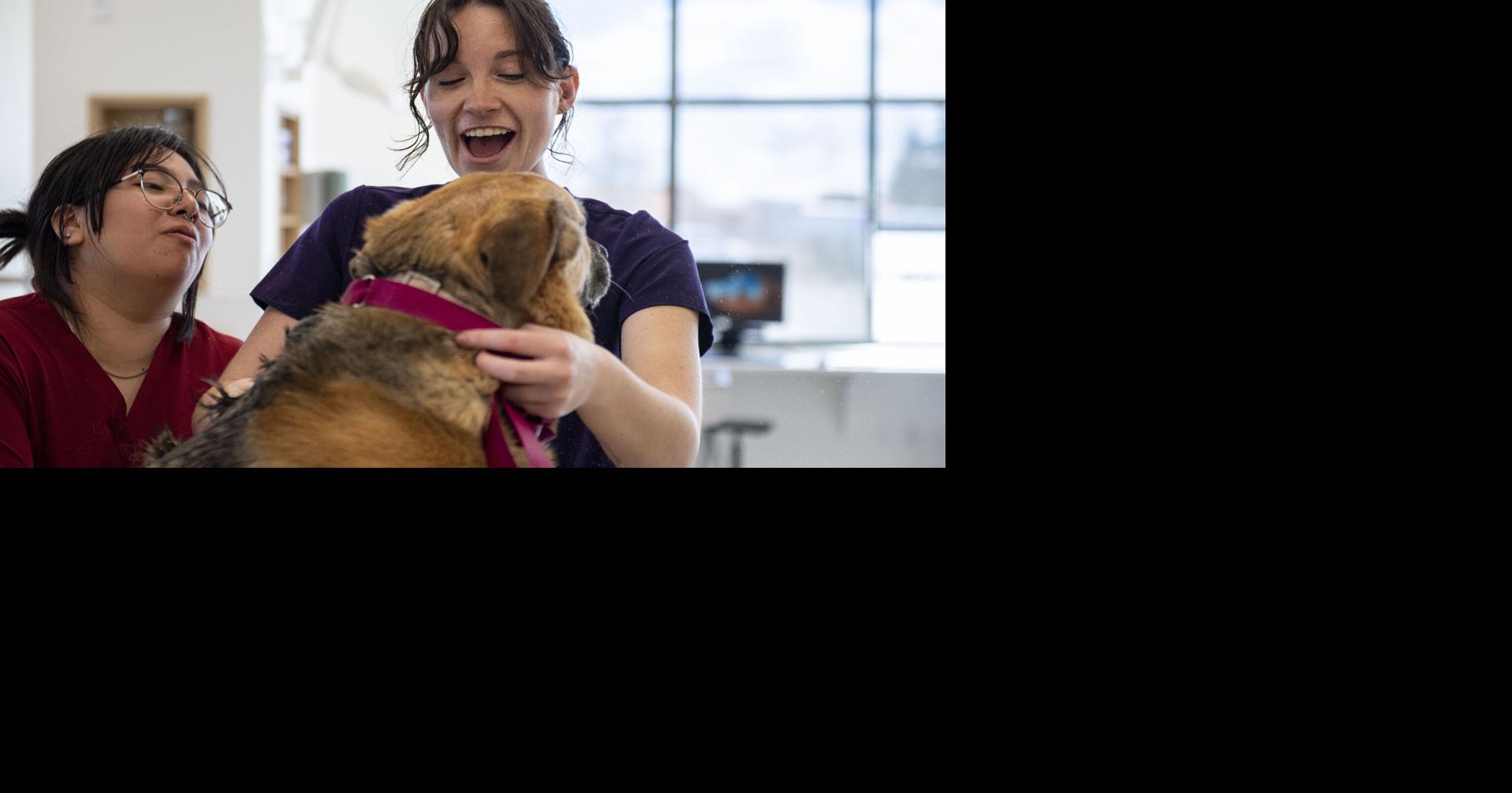 CSI Veterinary Technology Dog Was Fundraiser
