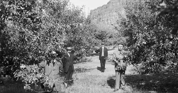 Blue Lakes Ranch, Perrine's Utopia, an agricultural empire