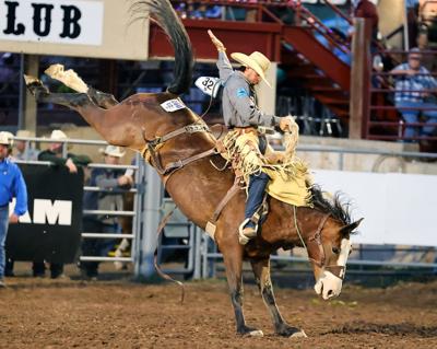 Vegas, baby! Bruno, Hutchings, Tavenner set to represent Idaho at NFR