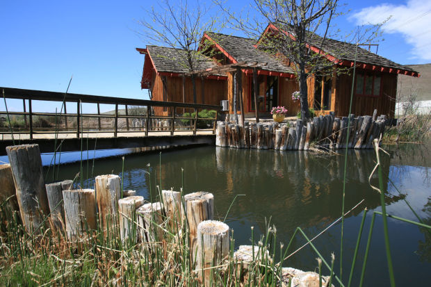 BLOG: What Happened with White Arrow Ranch?