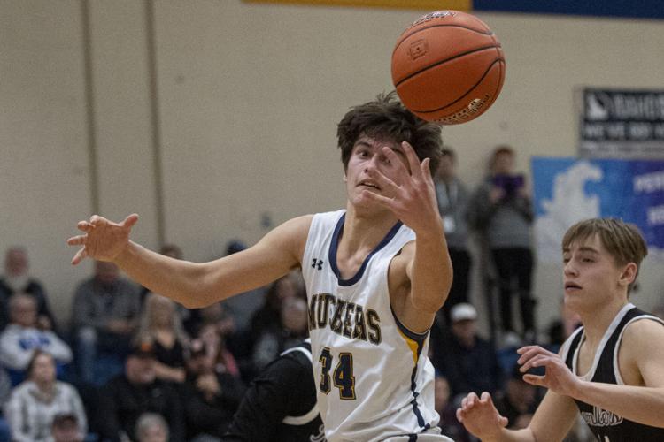 Camas County reaches 2nd state final in 3 years