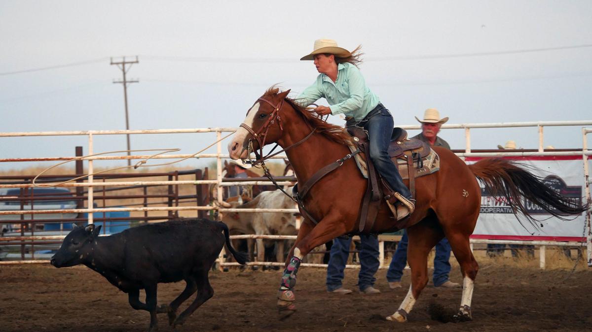Get ready for a week of fun with the Lincoln County Fair and Rodeo