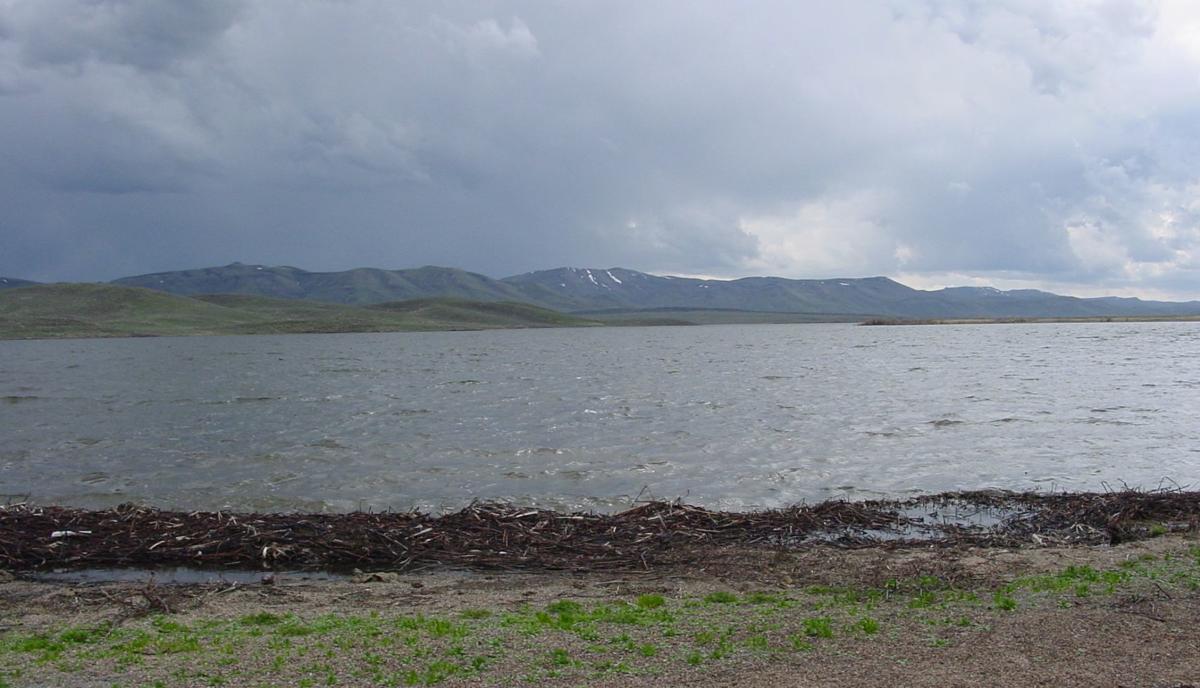 Public health advisory issued for Mormon Reservoir and Salmon Falls ...