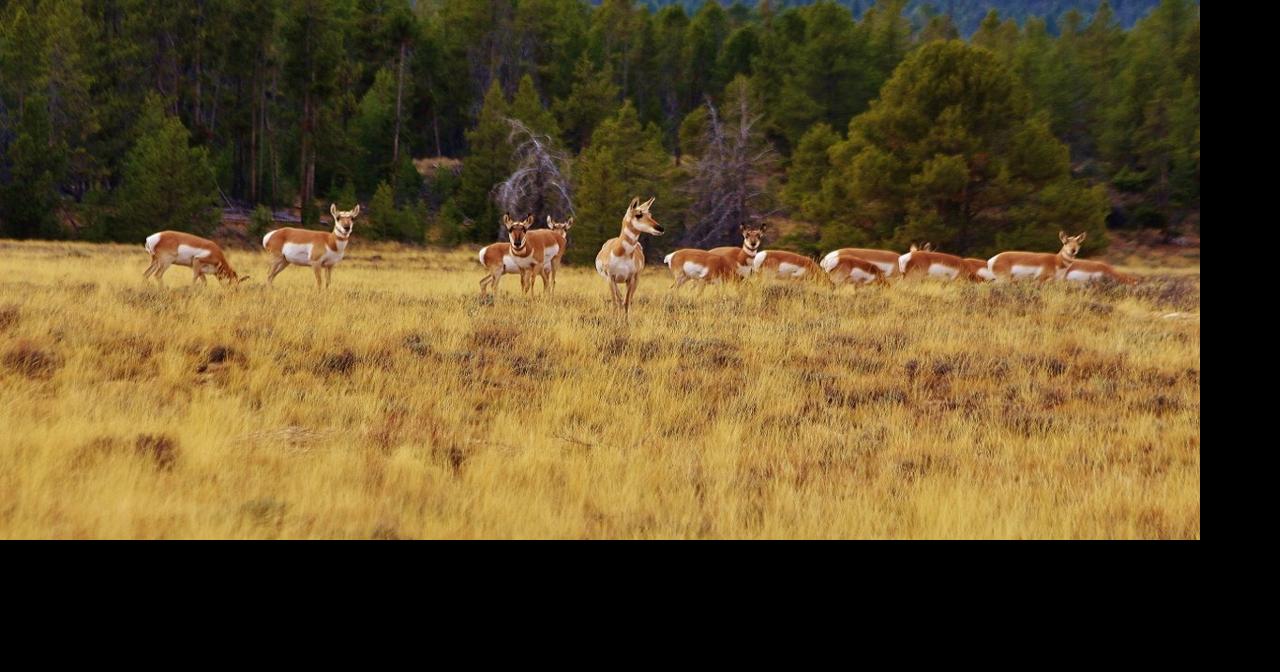 Gallery: Gorgeous Salmon River Country