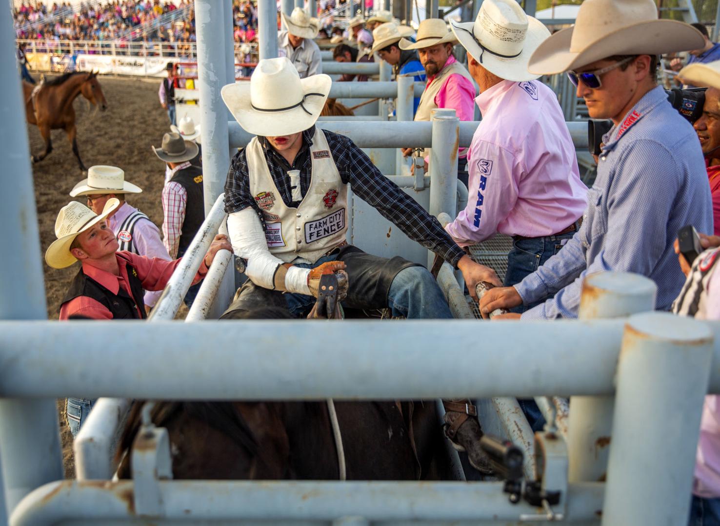 The joy and the pain: Twin Falls County Fair provides opportunity for ...
