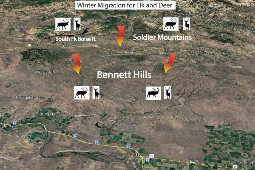 The challenge of managing wintering big game in the Bennett Mountains