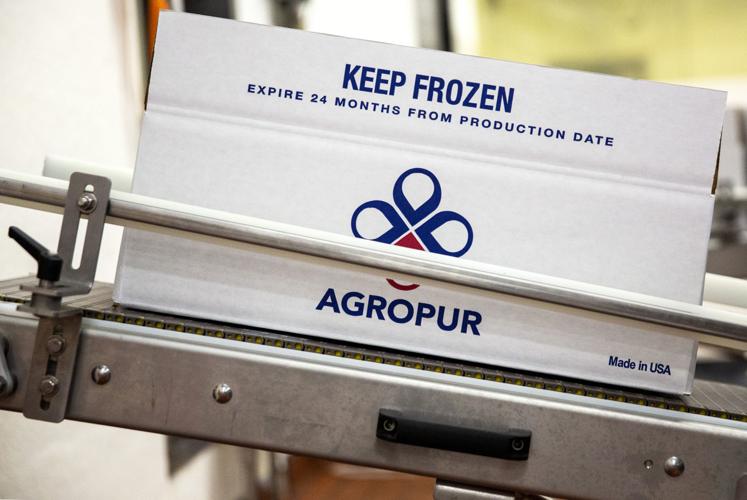 235 million pounds of cheese per year come from a Jerome plant