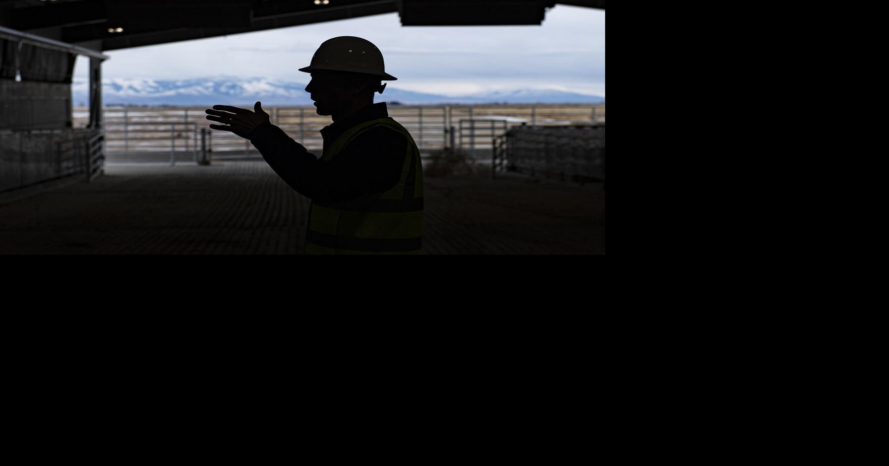 U of I research dairy finishing phase 1 | Photos