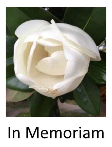 Regina Saunders Henderson | Obituaries | magnoliareporter.com