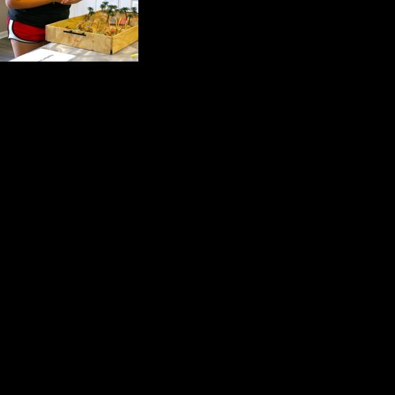 All Grill -- No Grease takes Appetizer contest at Magnolia Blossom ...