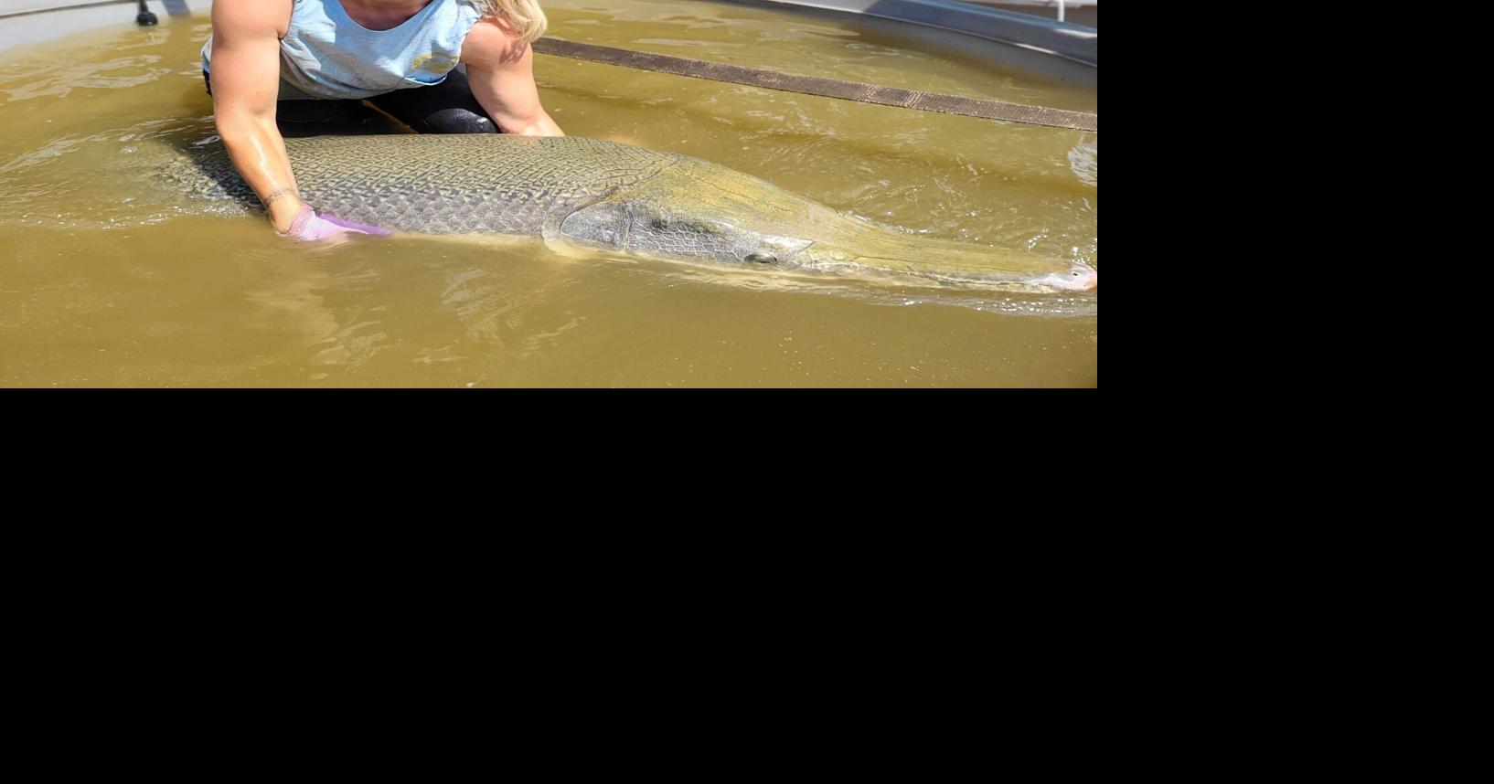 Trophy Alligator Gar Permit application period open until December 31 ...