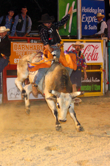 (With 13 photos) Ultimate Bullriding Challenge at the Columbia County ...