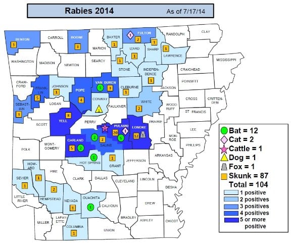 Statewide rabies reports double from this time last year -- one rabid ...