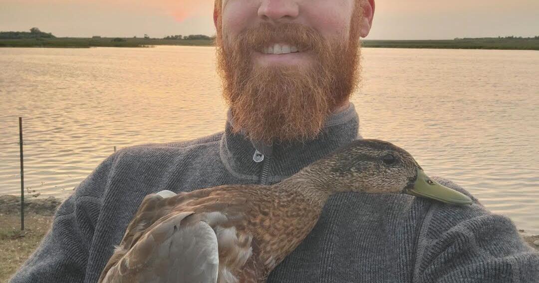 Arkansas biologists help band this year’s duck migration | Outdoors ...