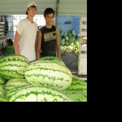 Hope watermelons available throughout region | Regional News ...