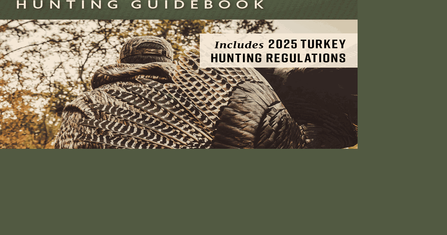 Get the best “hunting guide” in Arkansas free online | Outdoors ...