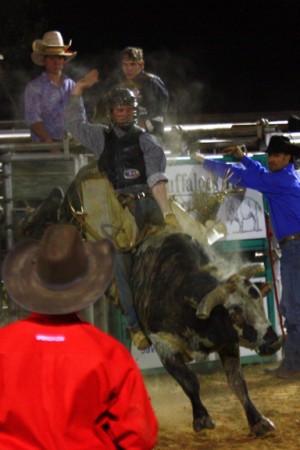 (With 15 photos) Ultimate Bull Riding Challenge officially concludes ...