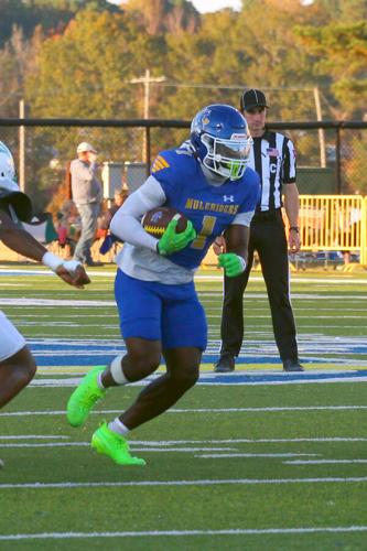 IMG_7703.jpg | | magnoliareporter.com