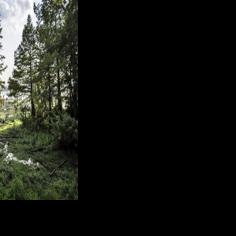 D'Arbonne Lake and Bussey Brake make list of top bass fisheries in ...