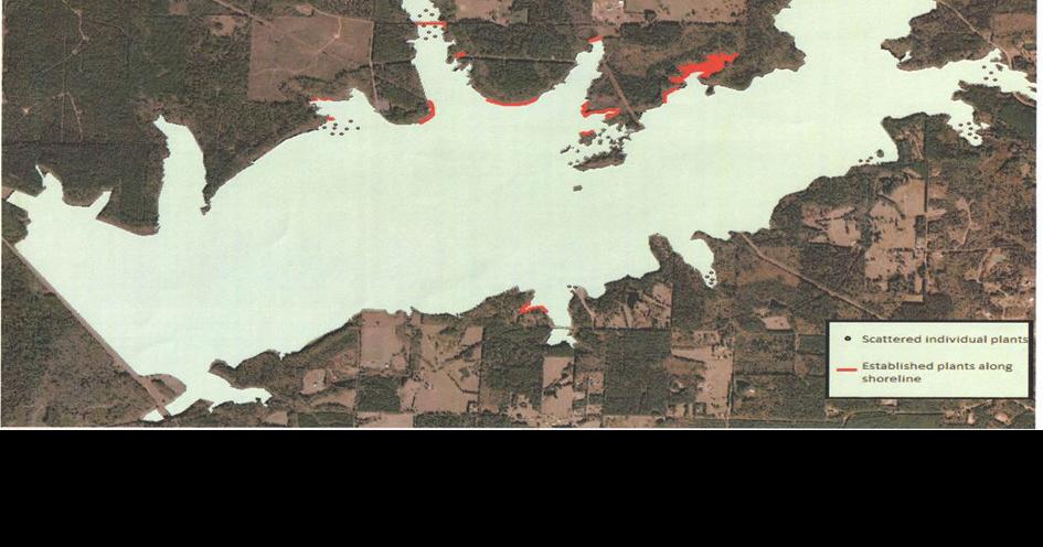 (With story collection) Maps of Lake Columbia, Erling show giant ...