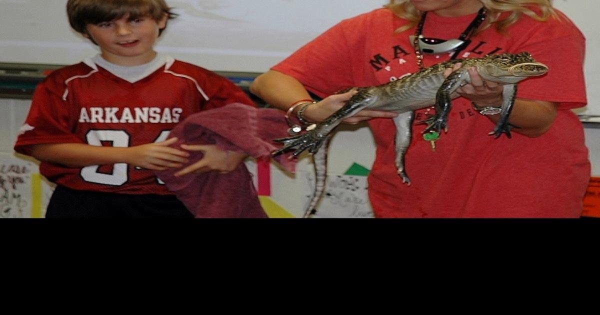 Central Elementary students learn about alligators | Education ...
