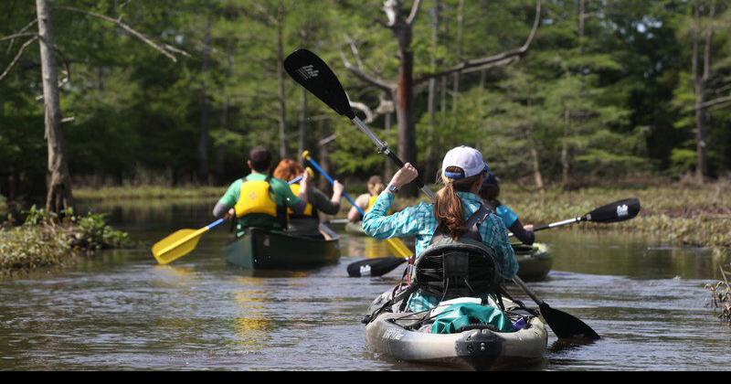 AGFC funds new boat ramp for Bayou Bartholomew access | Outdoors ...