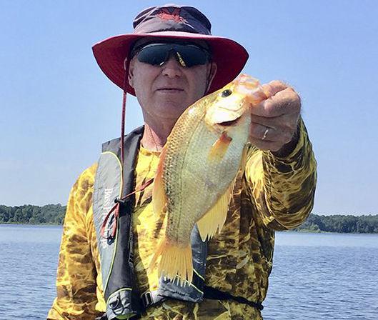 David Sisson catches a rare golden crappie on Lake Columbia | Outdoors ...