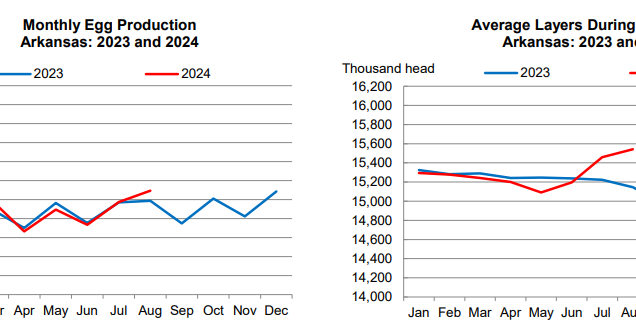 August egg production up 2 percent from last year | Business ...
