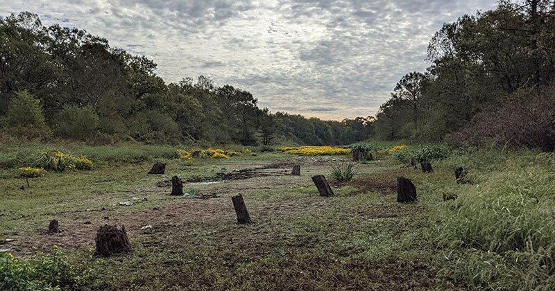 Restored Mercer Bayou almost ready for sportsmen | Outdoors ...