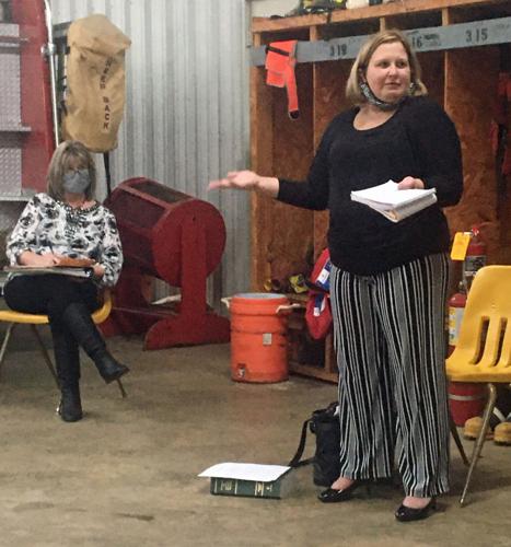 Waldo mayor resigns, council will make decision about special election ...