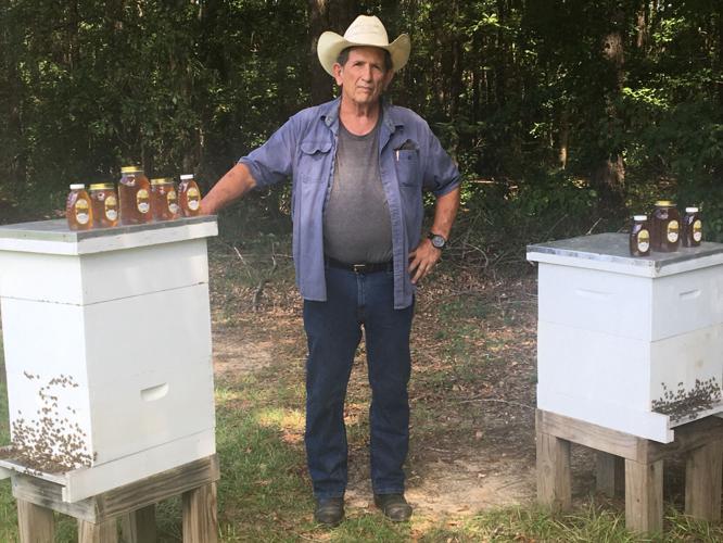 Complex and productive nature of honey bees enthralls Don Williams ...