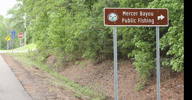 Duck hunters going back into Southwest Arkansas' Mercer Bayou ...