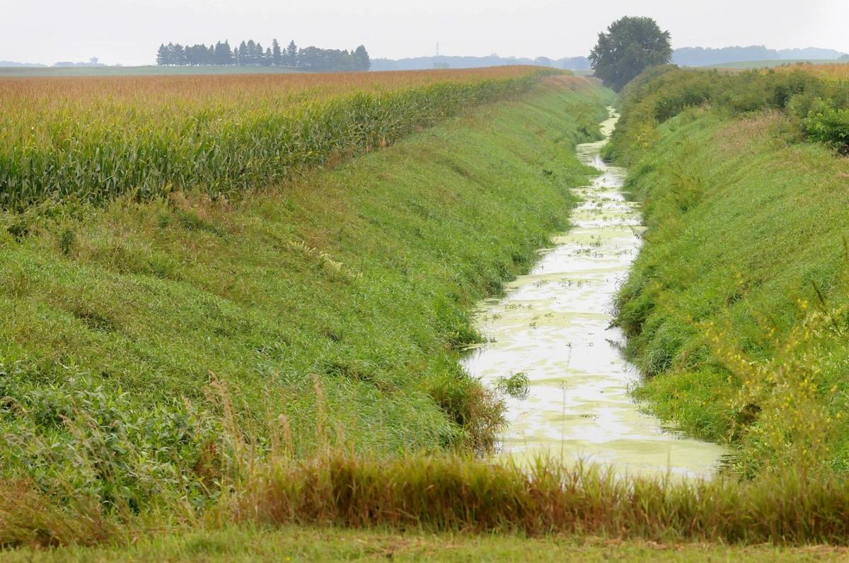 New buffer law prompts confusion over requirements for vegetation ...
